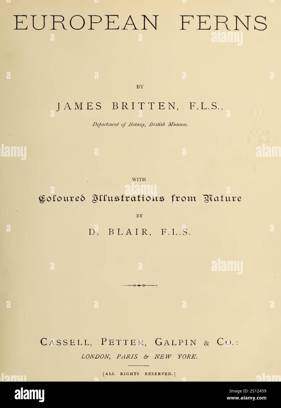 European Ferns - James Britten (title page Stock Photo - Alamy