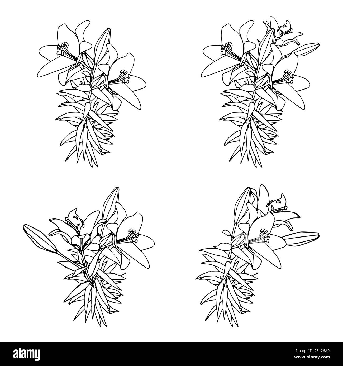 Set of lily bouquets in doodle style. Vector illustration isolated on white background Stock ...