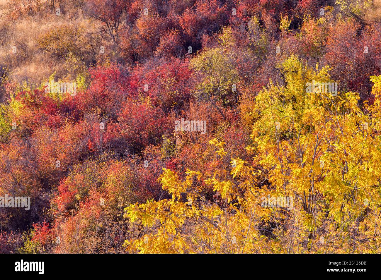 Pacific northwest colors hi-res stock photography and images - Alamy
