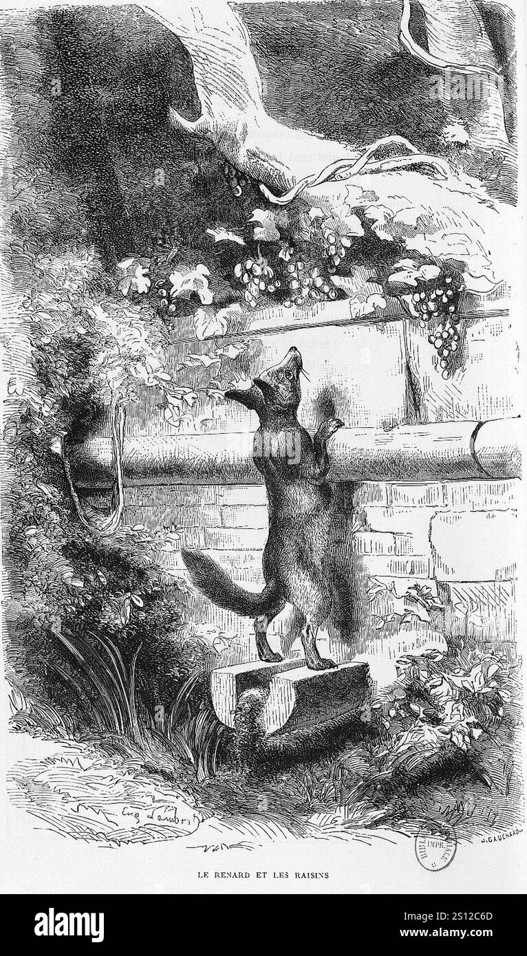 Fables de La Fontaine - Lambert - Le Renard et les Raisins Stock Photo ...