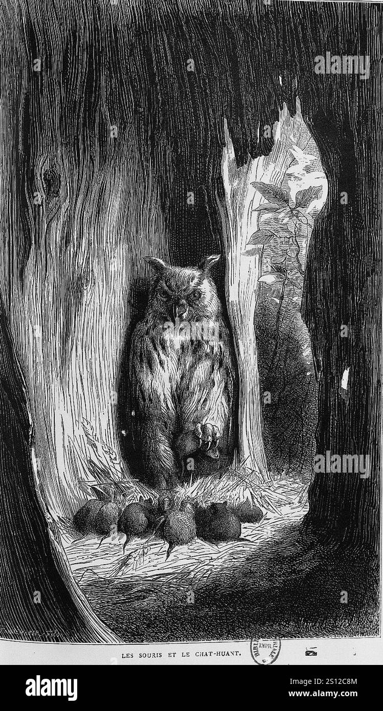 Fables de La Fontaine - Lambert - Les Souris et le Chat-huant Stock ...