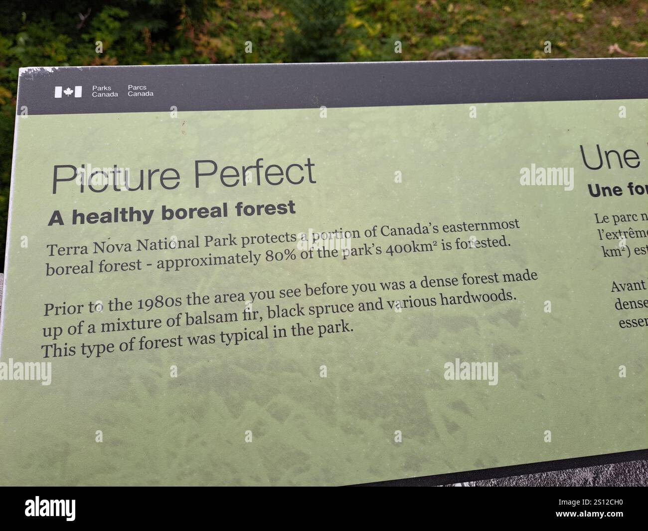 Parks Canada healthy boreal forest sign at Terra Nova National Park in ...