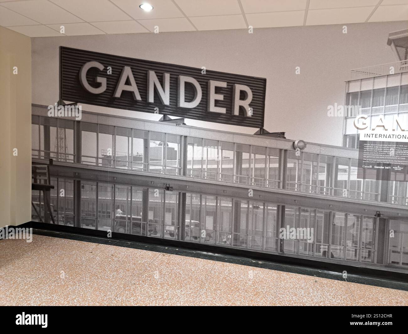 Gander international airport arrivals hi-res stock photography and ...