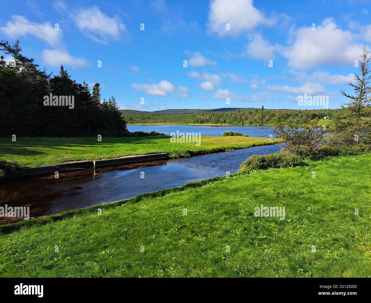 Waterman's Pond Park in Flat Rock, Newfoundland & Labrador, Canada ...