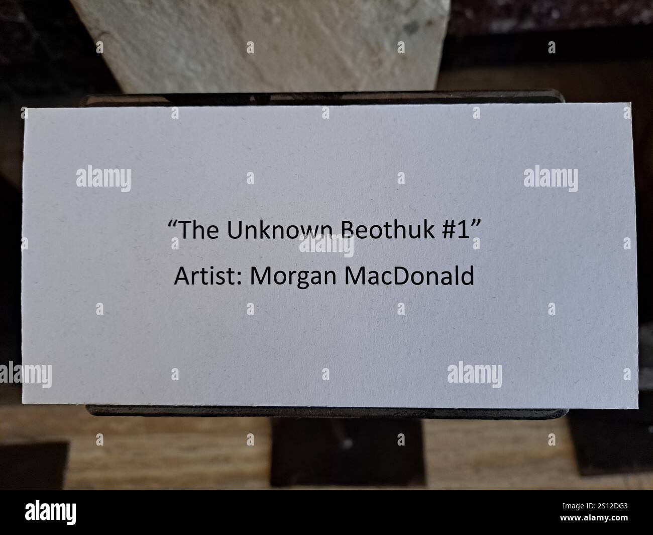 Artist's sign for Unknown Beothuk #1 sculpture inside the provincial ...