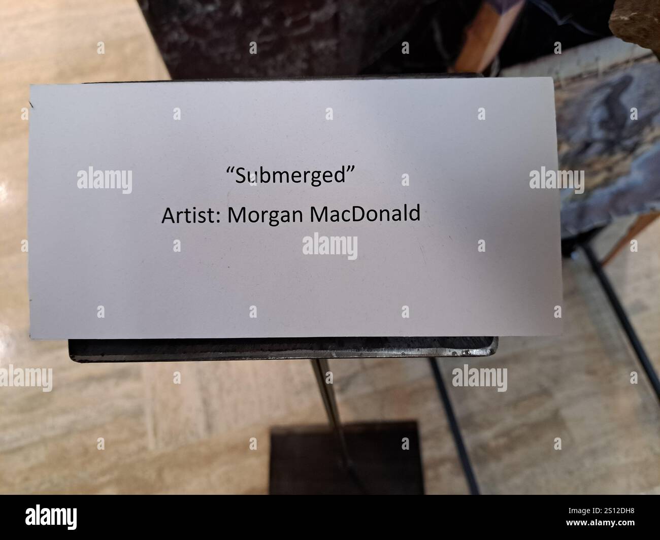 Artist's sign for Submerged sculpture inside the provincial ...