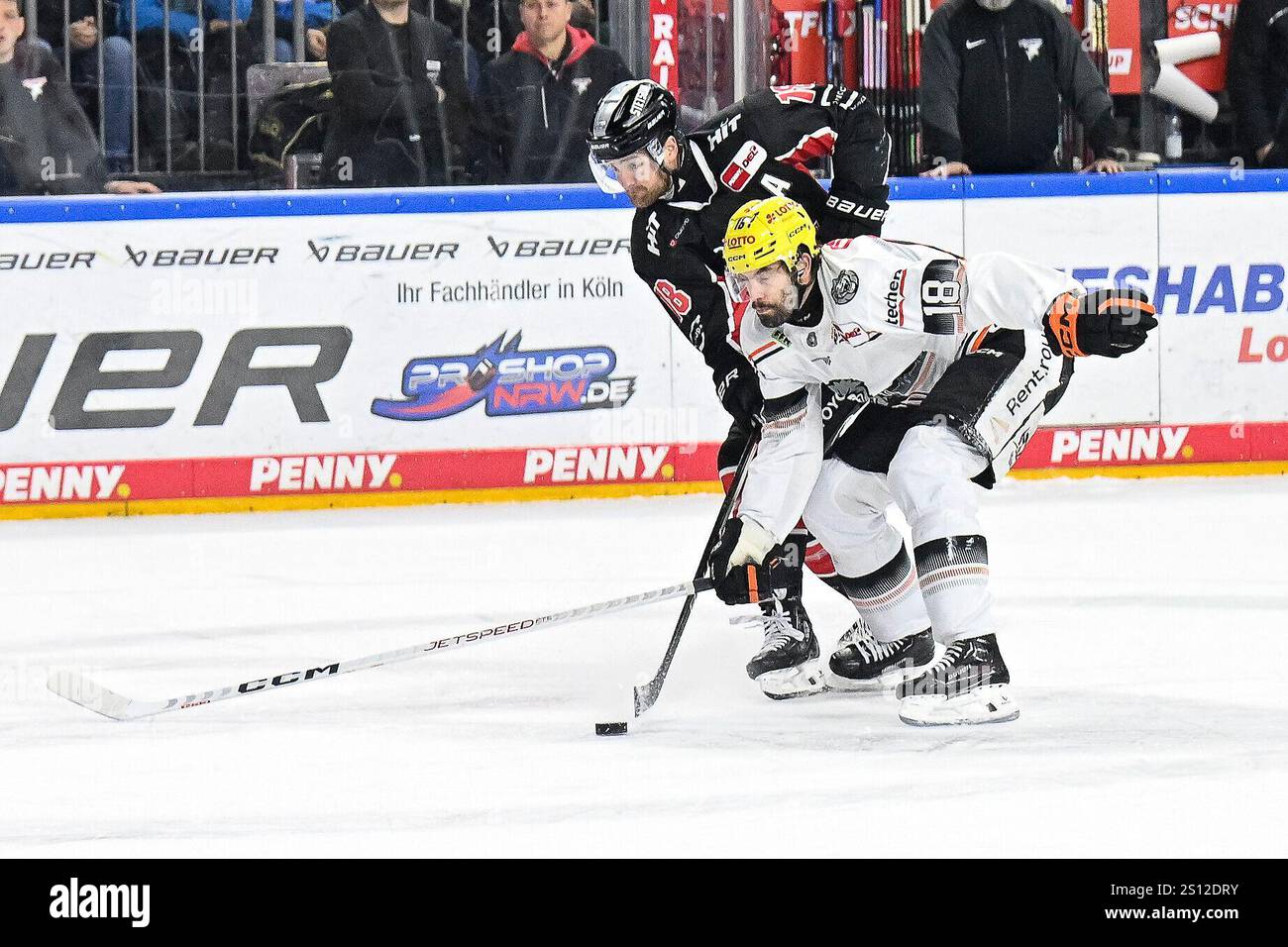 Eishockey DEL 24/25 - 31. Spieltag: Kölner Haie vs Löwen Frankfurt in ...