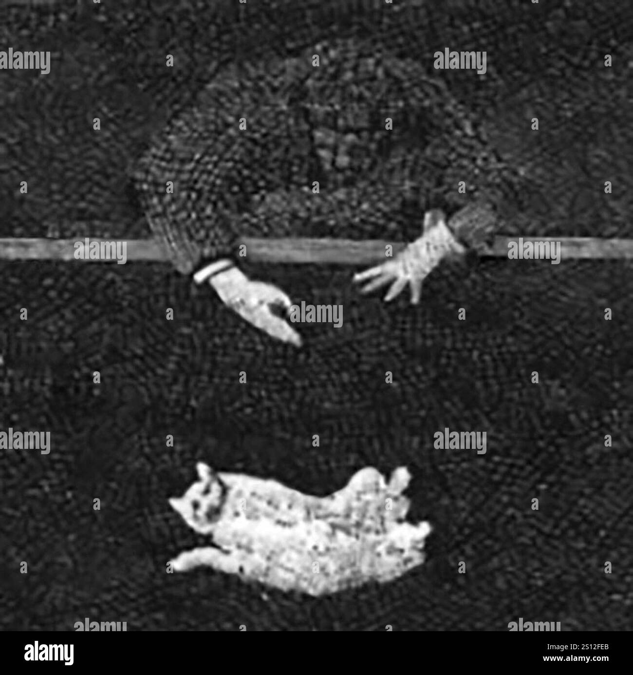 Falling cat 1894 phase 7 Stock Photo - Alamy
