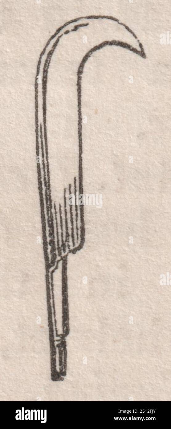 Falx 4.1 - Anthony Rich, Illustrated Companion to the Latin Dictionary ...