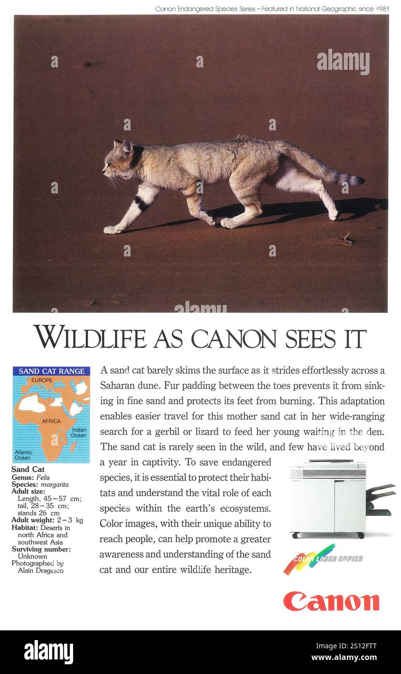 Historical laser Cut Out Stock Images & Pictures - Alamy