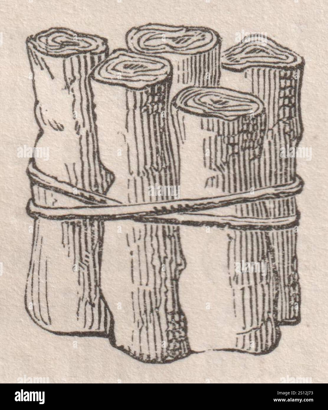 Fasciculus 1.1 - Anthony Rich, Illustrated Companion to the Latin ...