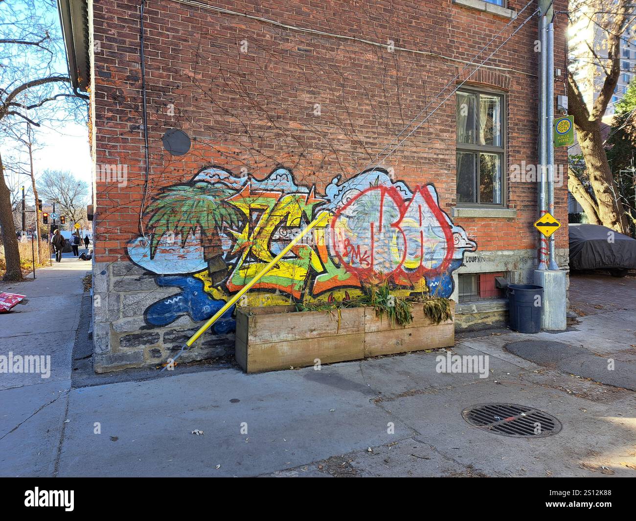 Palm tree graffiti in downtown Montreal, Quebec, Canada Stock Photo - Alamy