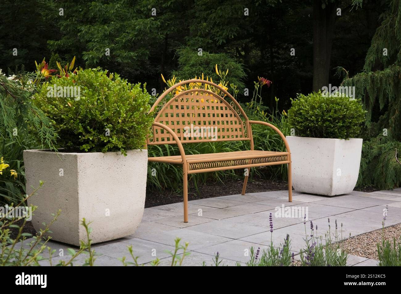 Brown metal lattice garden bench between two cement planters with Buxus ...