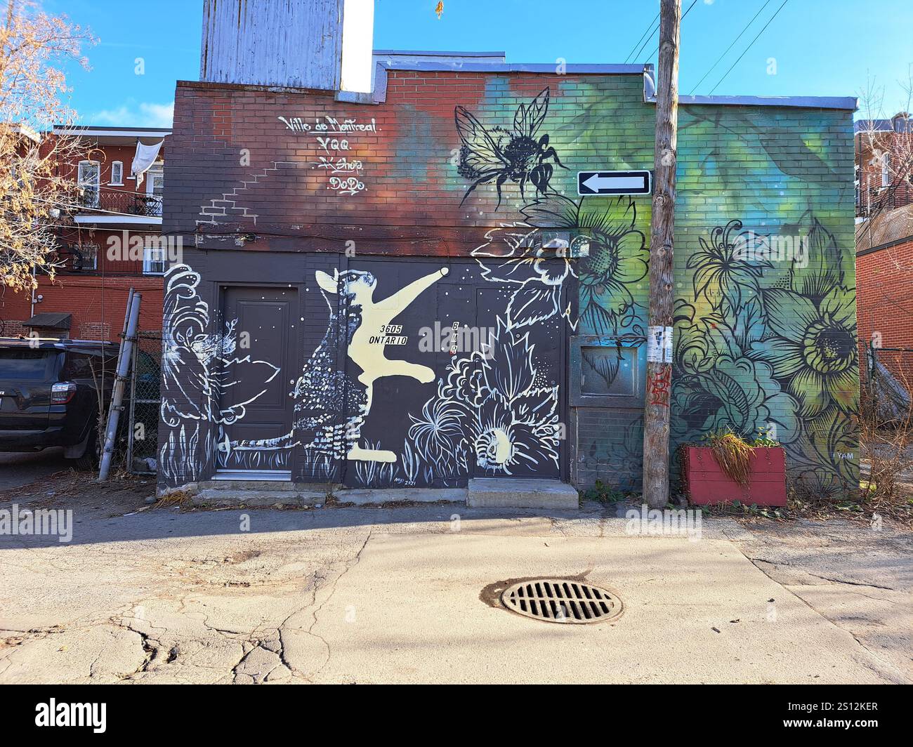 Cat mural in Hochelaga neighborhood in Montreal, Quebec, Canada Stock ...