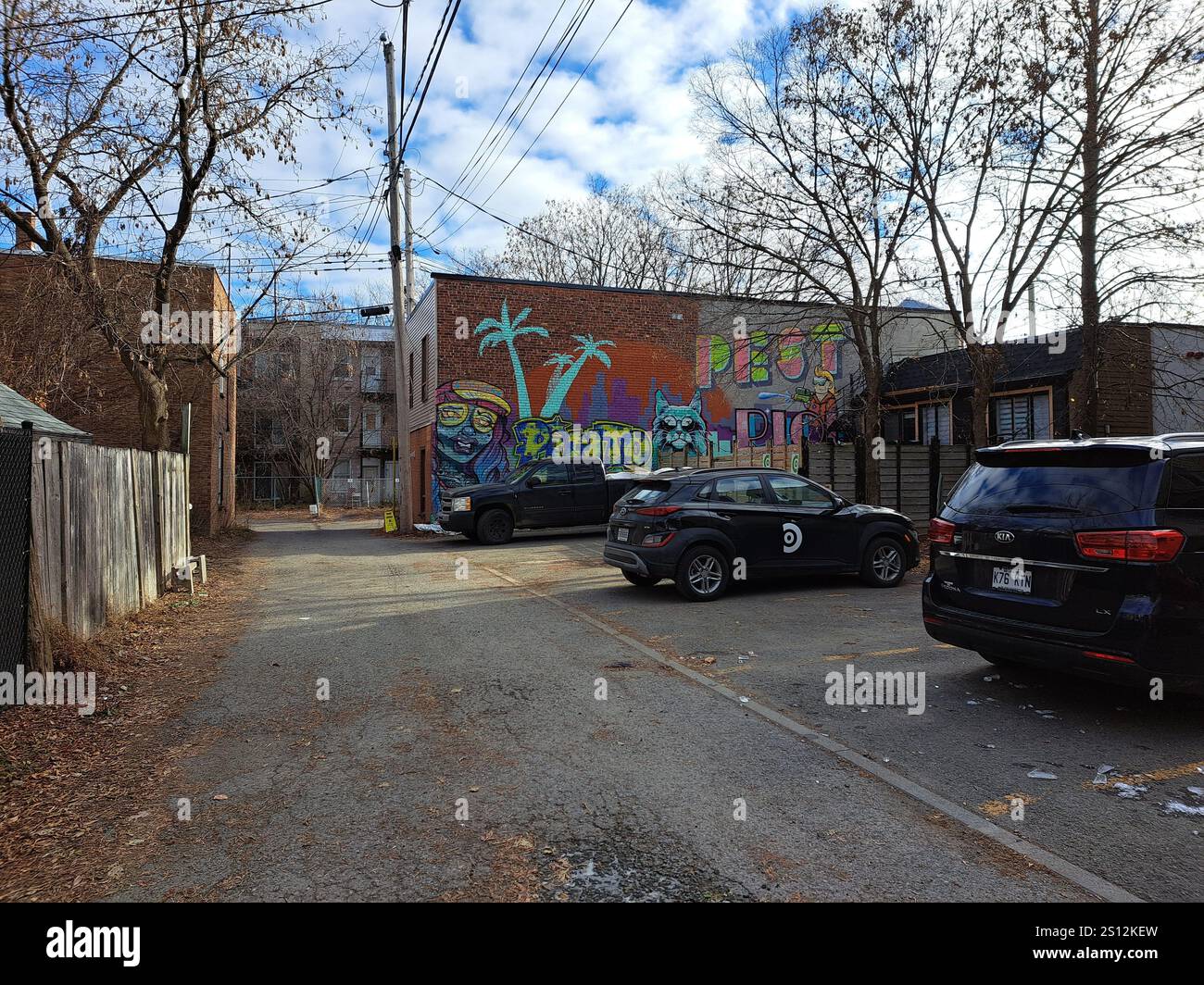 Palm tree mural in Hochelaga neighborhood in Montreal, Quebec, Canada ...