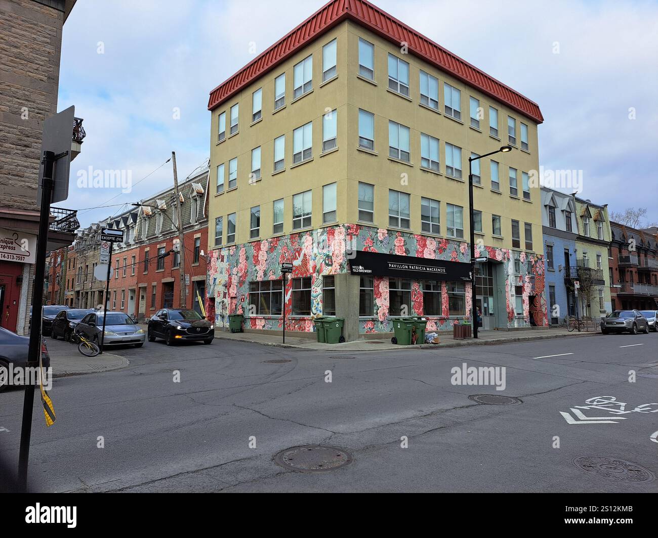 Eclosions floral mural on the Patricia Mackenzie Pavilion women's ...