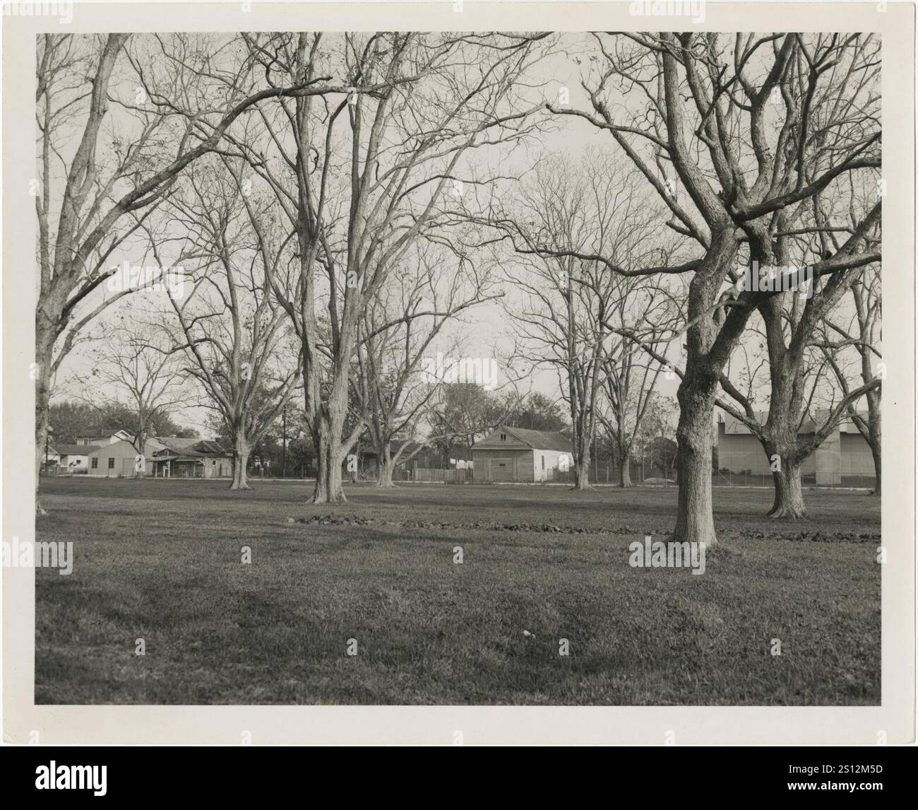 Fazendeville Community from the American Rampart Line (George Statham ...