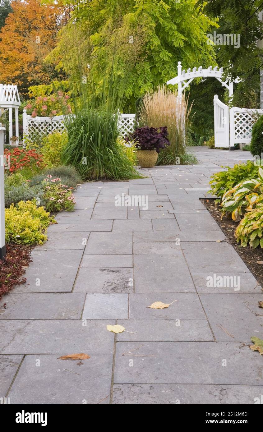 Grey flagstone path bordered by Sedum spurium - Purple Caucasian ...