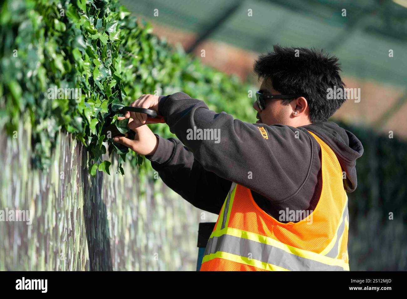A worker trims artificial ivy on the day before the NHL Winter Classic ...