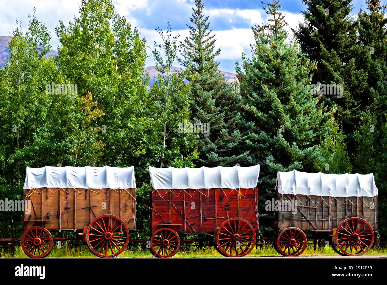 Rustic Covered Wagons Against Lush Green Forest in Bright Daylight, Sun ...