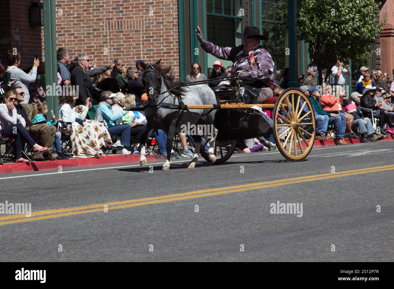 Horse-Drawn Carriage in Outdoor Parade Event with Spectators Watching ...