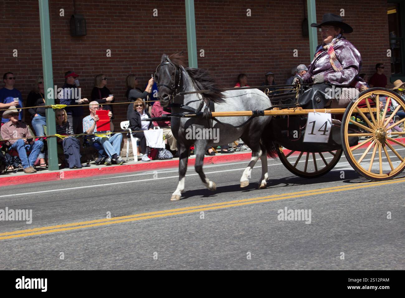 Horse-Drawn Carriage in Outdoor Parade Event with Spectators Watching ...