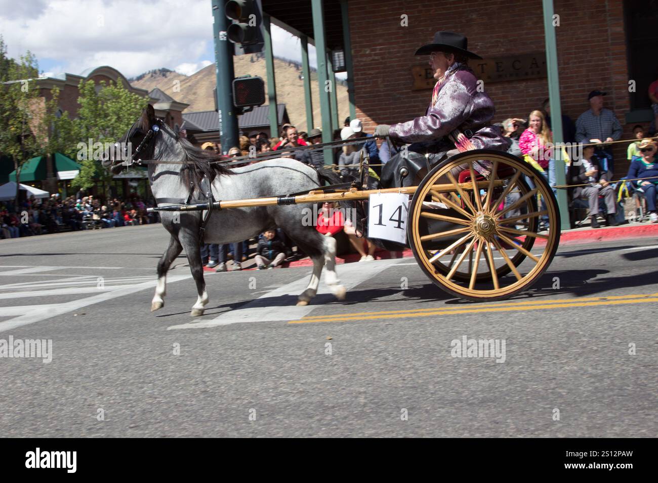Horse-Drawn Carriage in Outdoor Parade Event with Spectators Watching ...