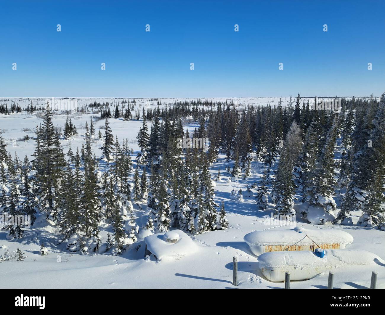 Wilderness vast boreal forest hi-res stock photography and images - Alamy