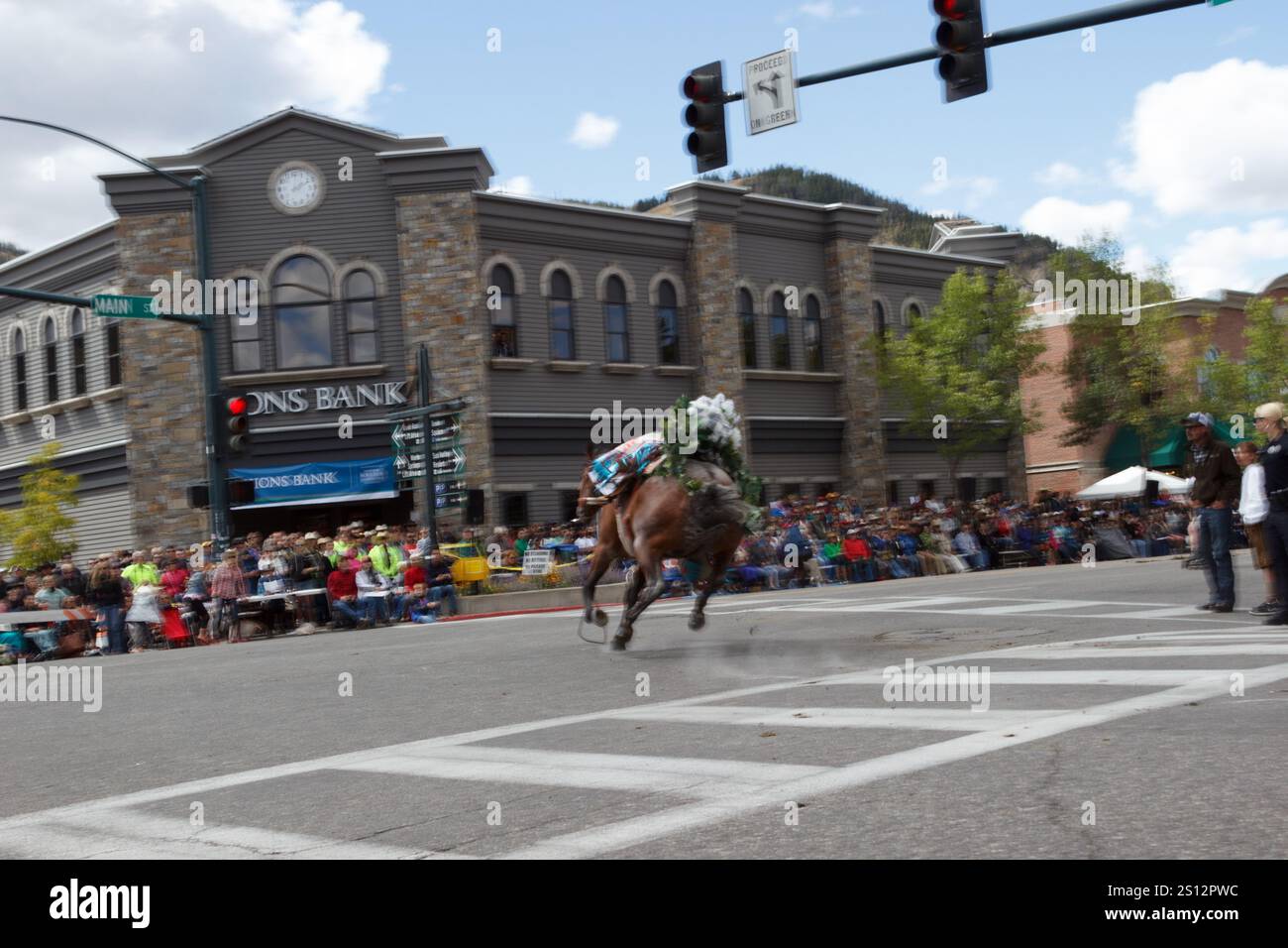 Crowded Parade Scene with Horse and Onlookers Displaying Community ...