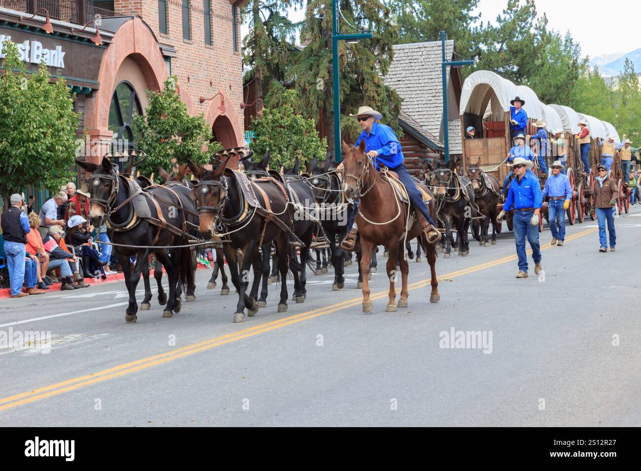 Traditional Wagon Parade Through Historic Town Street with Mules and ...
