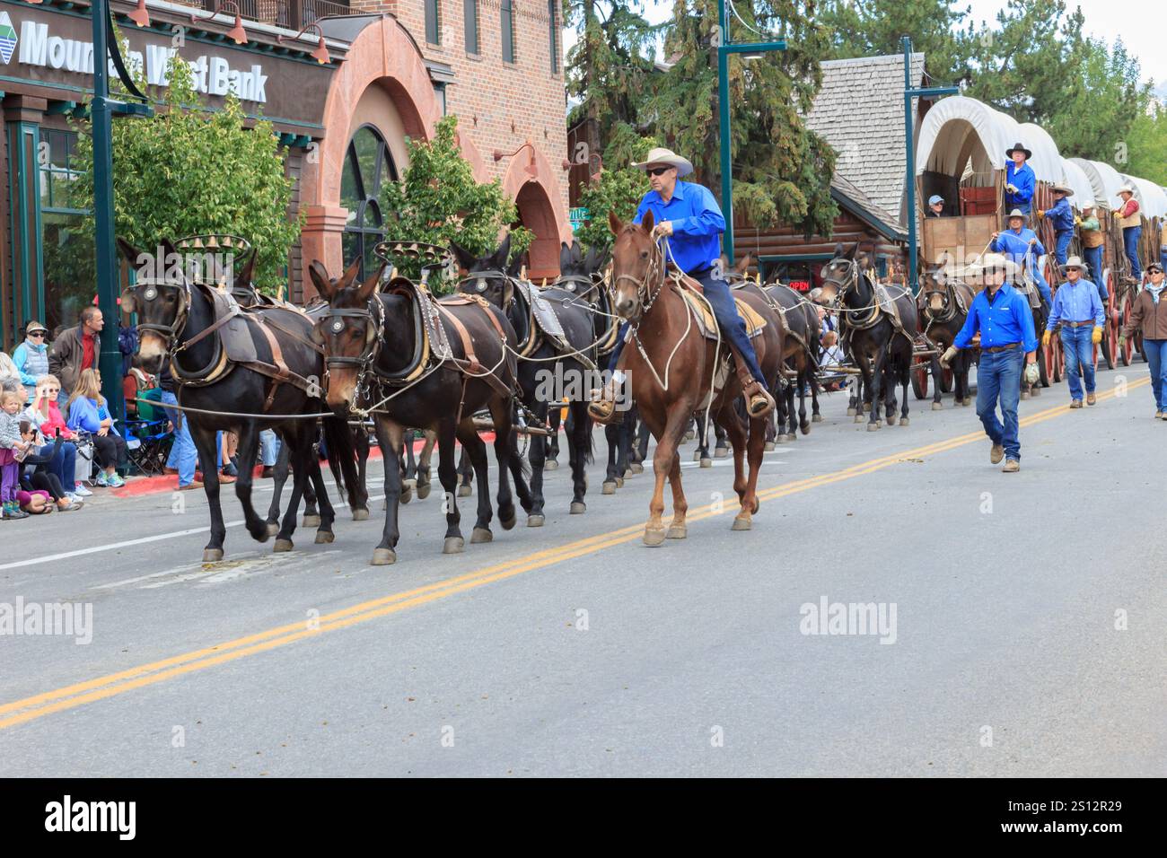 Traditional Wagon Parade Through Historic Town Street with Mules and ...