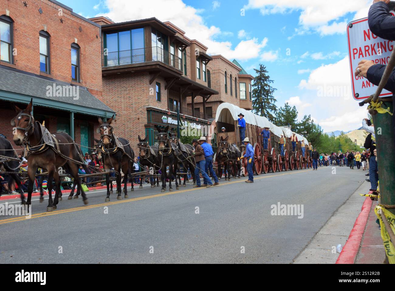 Traditional Wagon Parade Through Historic Town Street with Mules and ...