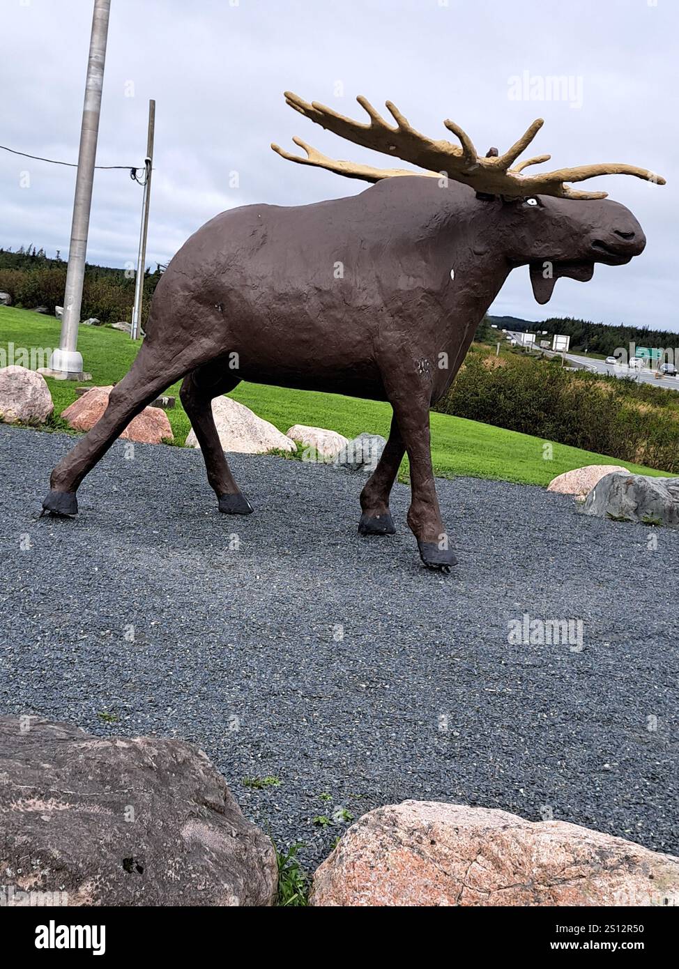 Sculpture of Morris the Moose at Irving Oil Big Stop in Goobies ...