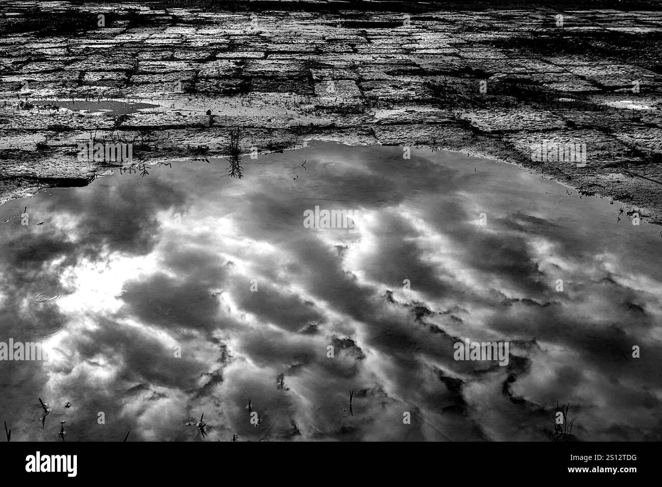 Reflection and ancient columns in the Magnesia ancient city Stock Photo ...