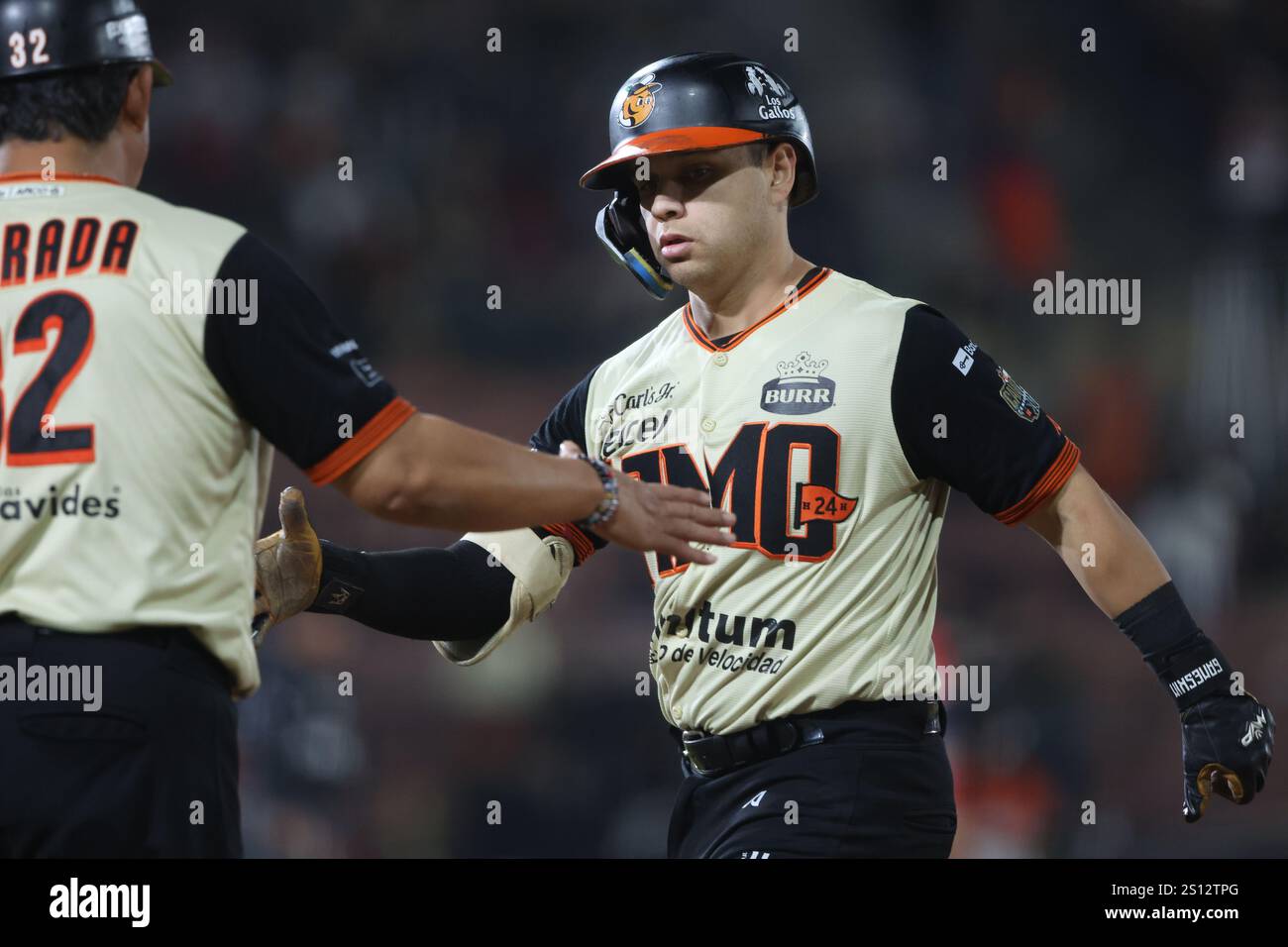 HERMOSILLO, MEXICO - DECEMBER 29: Irving Lopez of Naranjeros de ...