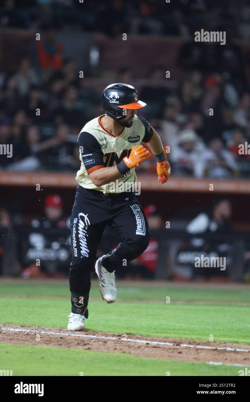 HERMOSILLO, MEXICO - DECEMBER 29: Alfonso Rivas of Naranjeros de ...