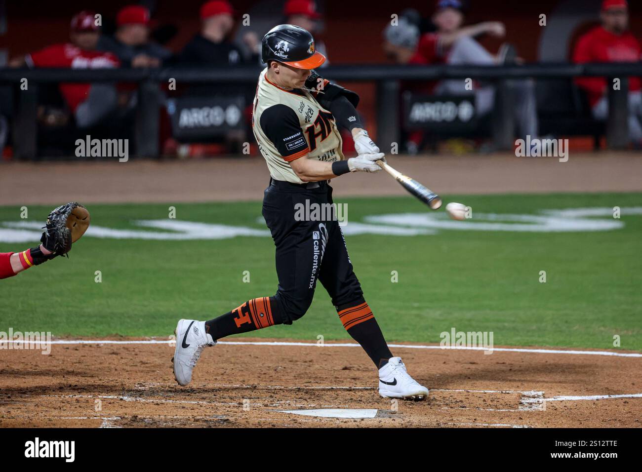 HERMOSILLO, MEXICO - DECEMBER 29: Jose Cardona of Naranjeros de ...
