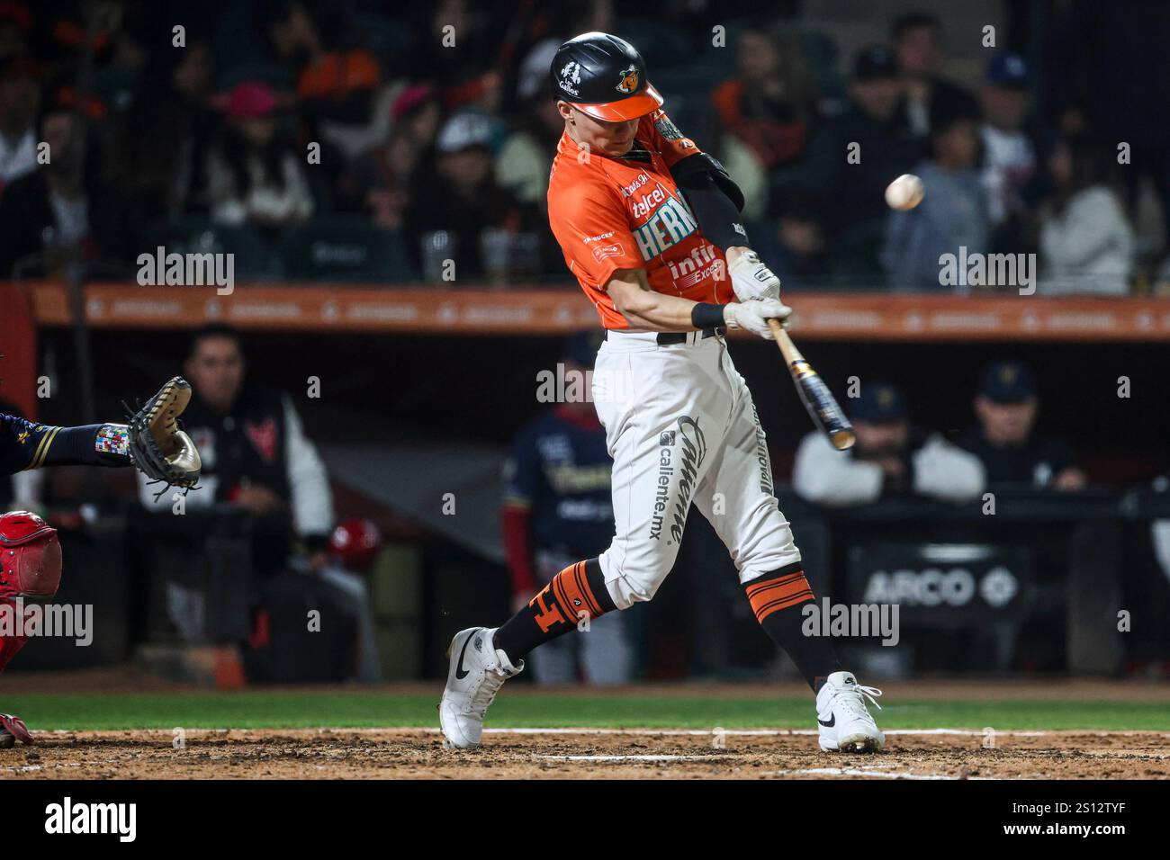 HERMOSILLO, MEXICO - DECEMBER 28: Jose Cardona of Los Naranjeros de ...