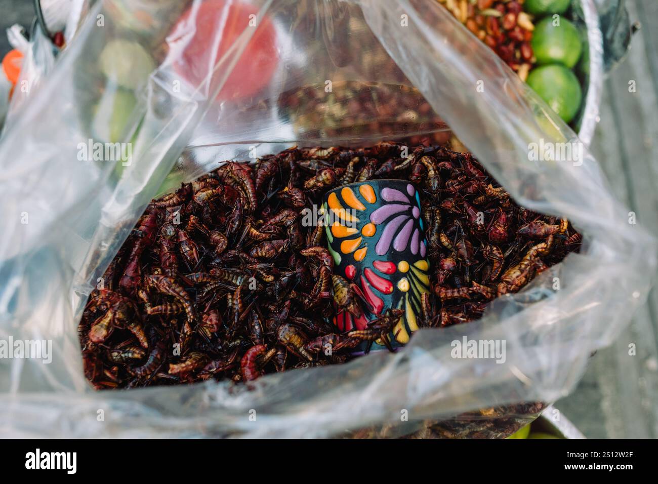 chapulines or fried grasshoppers. Mexican exotic food snack Stock Photo ...