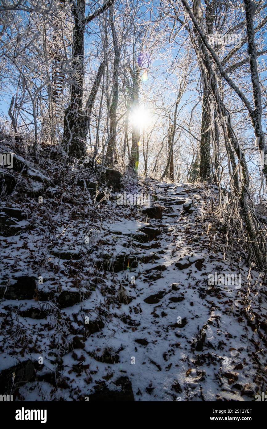 Morning Sun Shines Bright At The Top Of A Snowy HIll in the Smokies ...