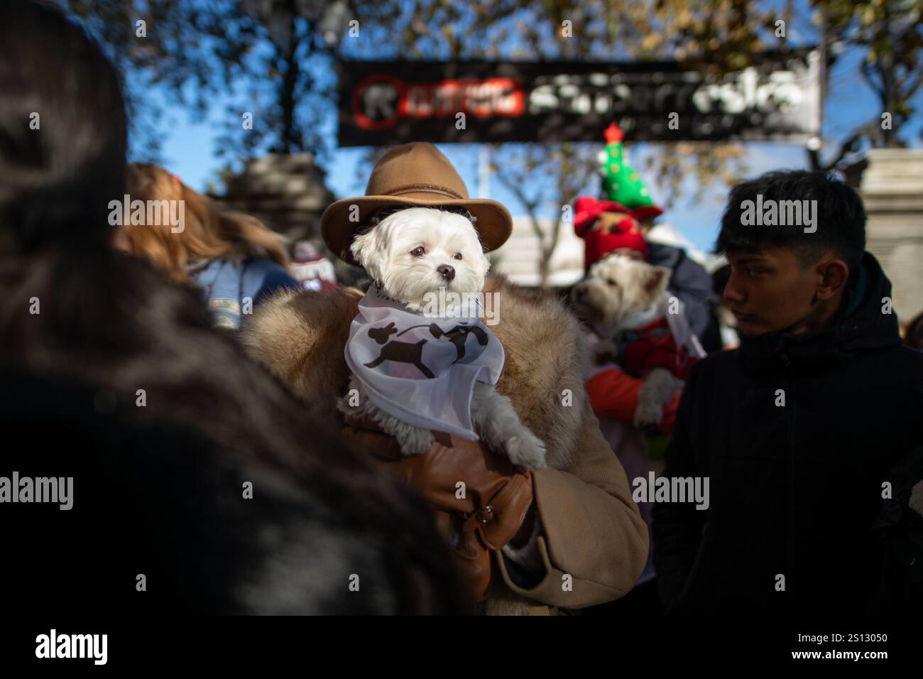 Madrid, Spain. 30th Dec, 2024. People pose with their dogs before the ...