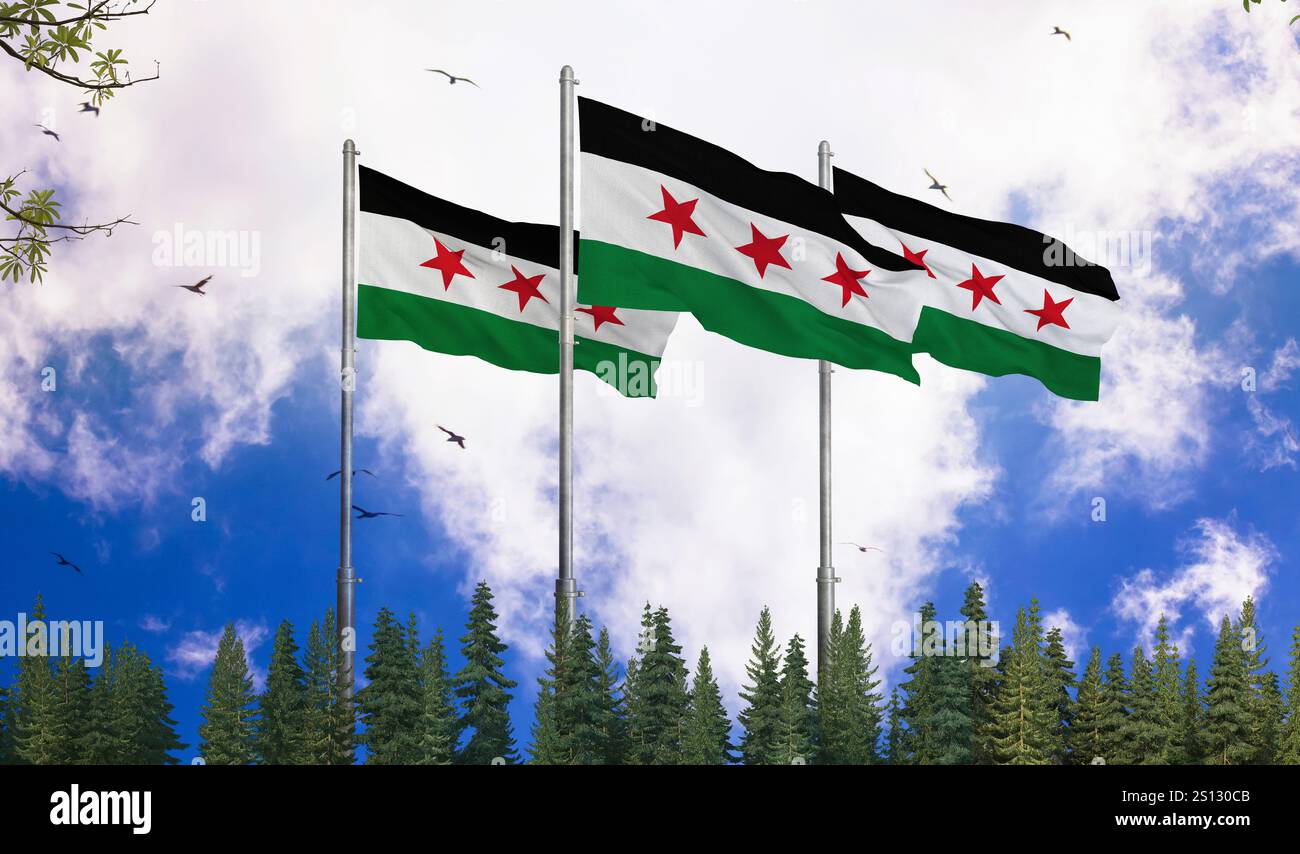 Syria Flag, Flag of the Syrian Revolution - New Syrian Flag Stock Photo ...