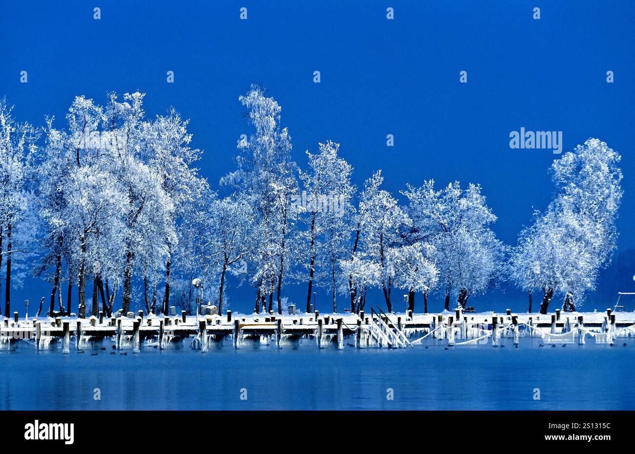 Snow covered pier and trees on lake, Chiemsee, Chiemsee, Upper Bavaria ...