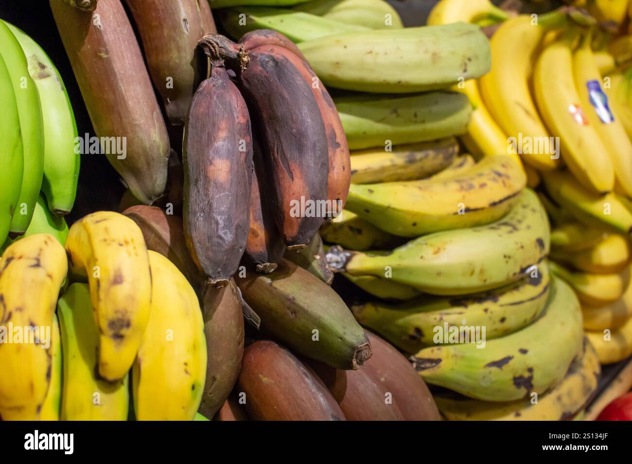 A view of several varieties of banana fruit at the grocery store Stock ...