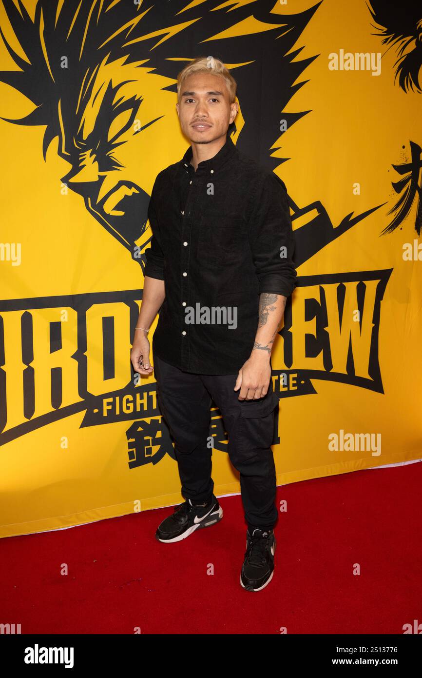 Los Angeles, United States. 29th Dec, 2024. Stuntman Brian In attends ...