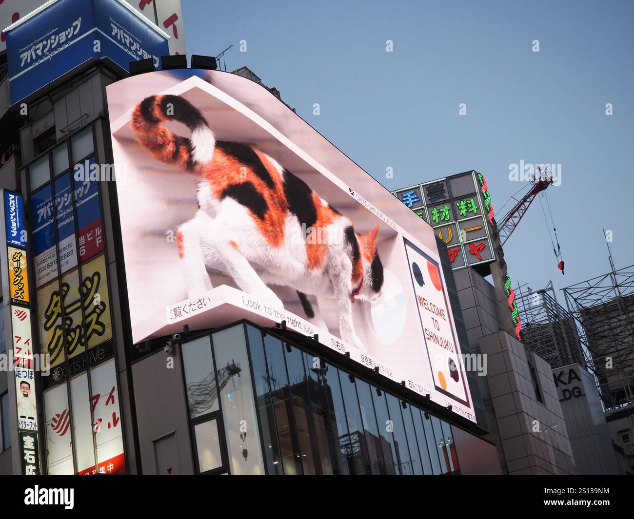 TOKYO, JAPAN - July 19, 2024: A 3D billboard featuring a cat on a ...
