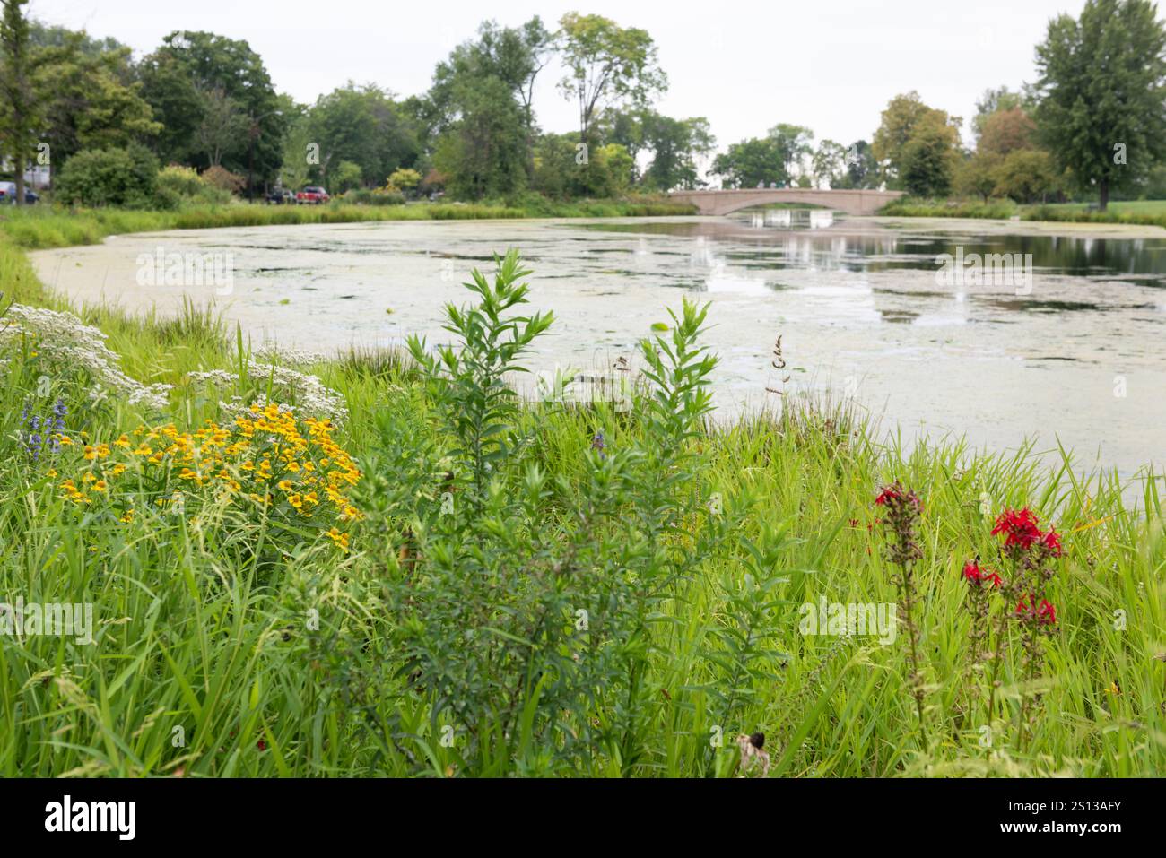 Tenney Park is a 37-acre lakeside park in Madison, Wisconsin featuring ...
