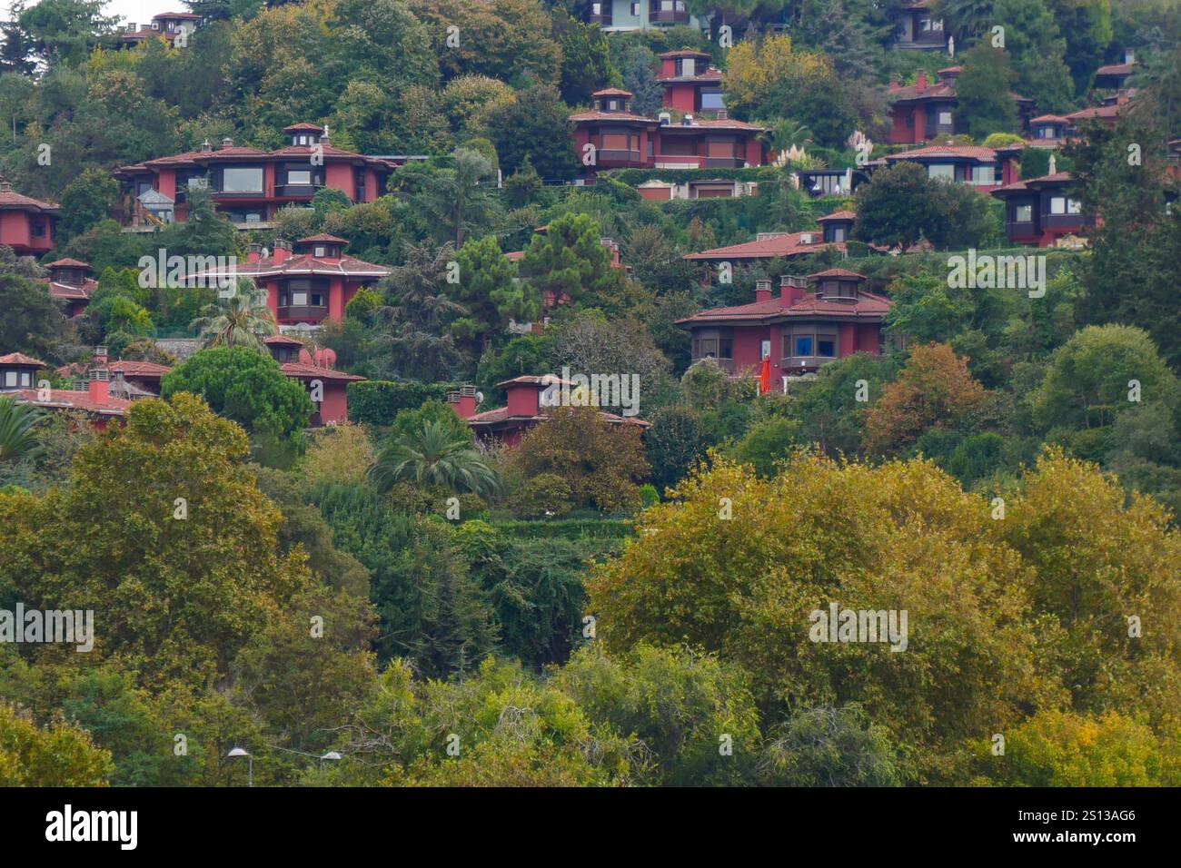 Scenic hillside view of charming red-roofed houses amidst lush greenery ...