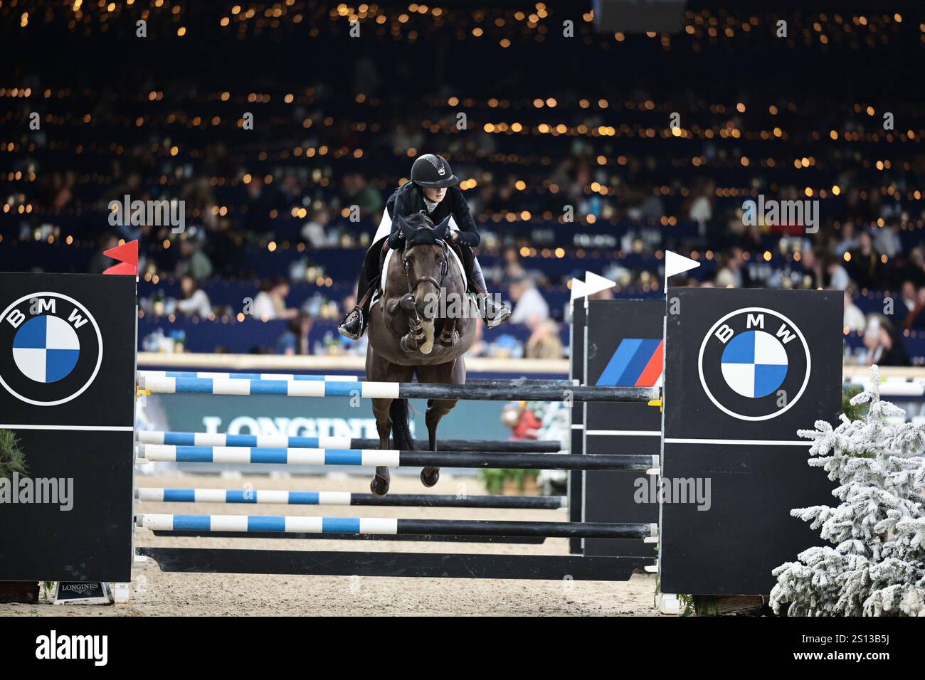 Selma Hundborg Dresler of Denmark with Clounamon Coco during the BHV ...