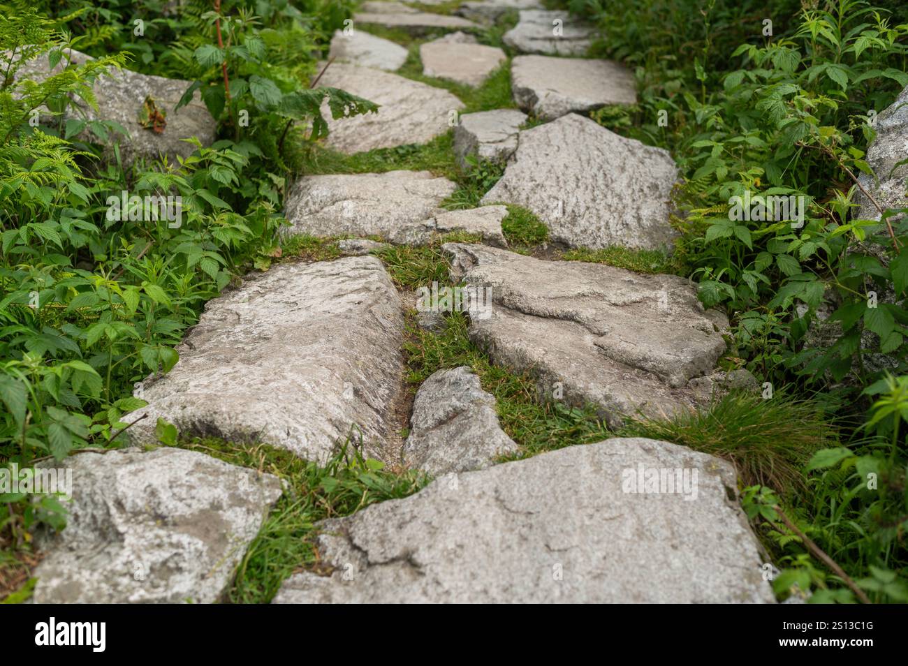 the road is paved with huge stones Stock Photo - Alamy